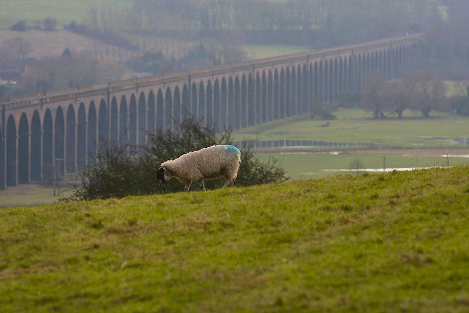 Gigaclear ultrafast fibre broadband greenlit for Welland Valley | Recombu